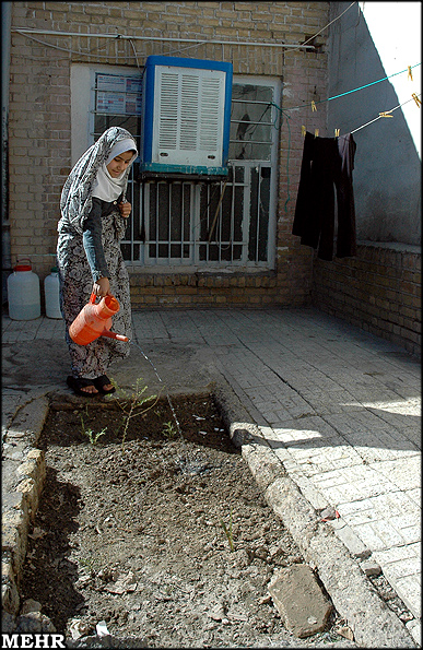 گزارش تصویری / کوچه غربت ، پلاک 6 : کاخ نشین - 2