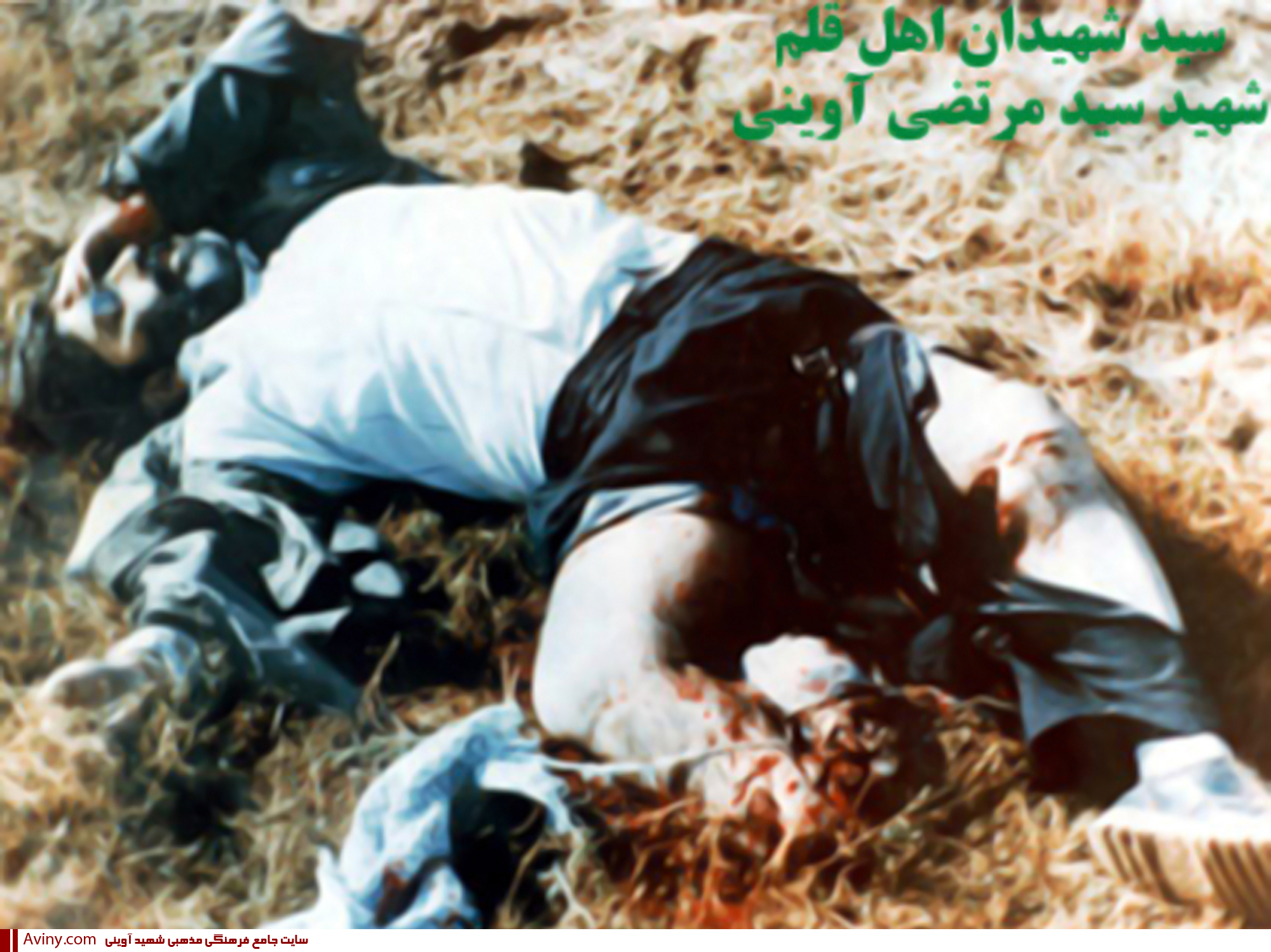 عکس های با کیفیت از شهید سید مرتضی آوینی